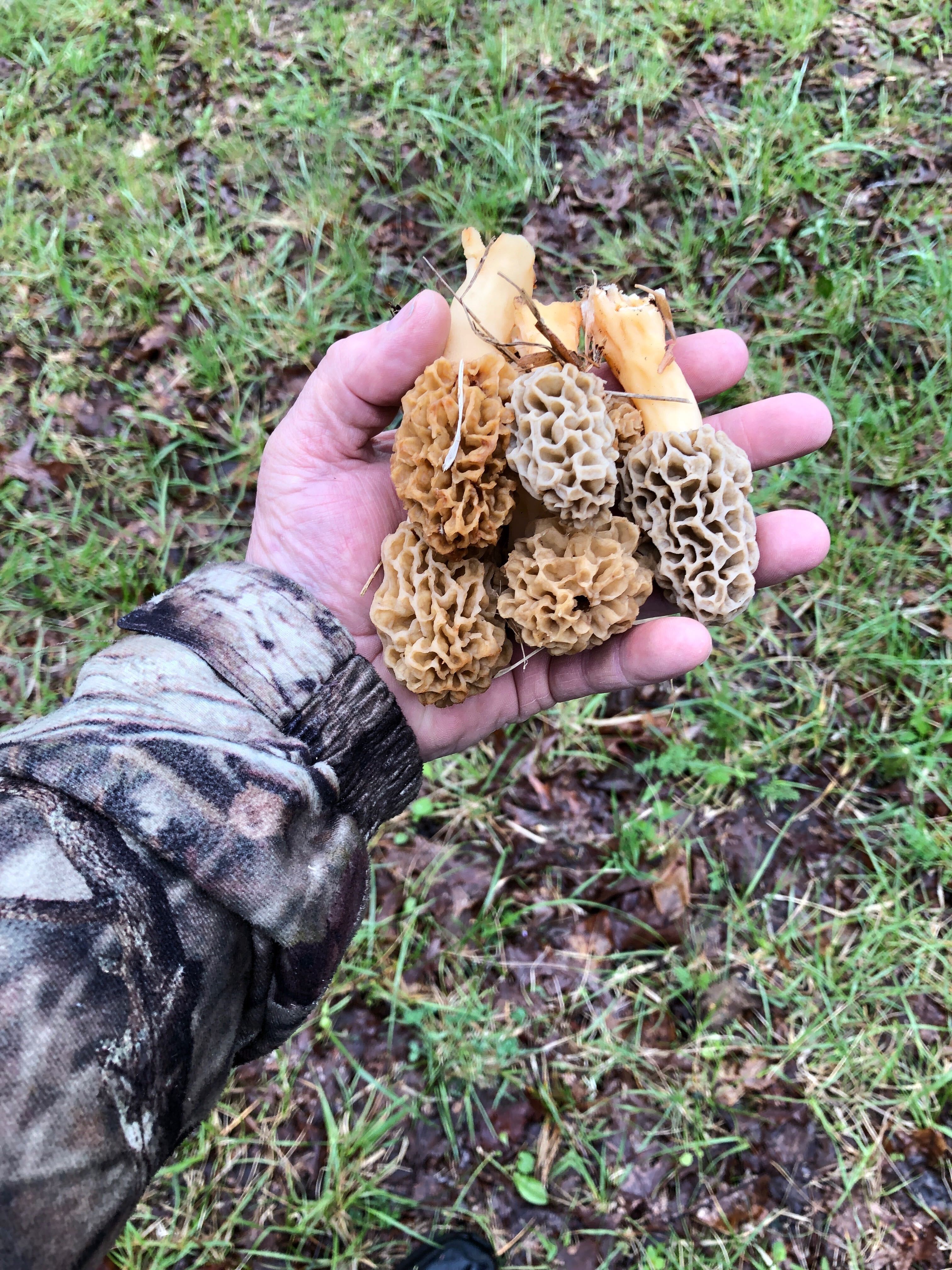 Onsite Information and Policies – Bobcat Ridge Cabins